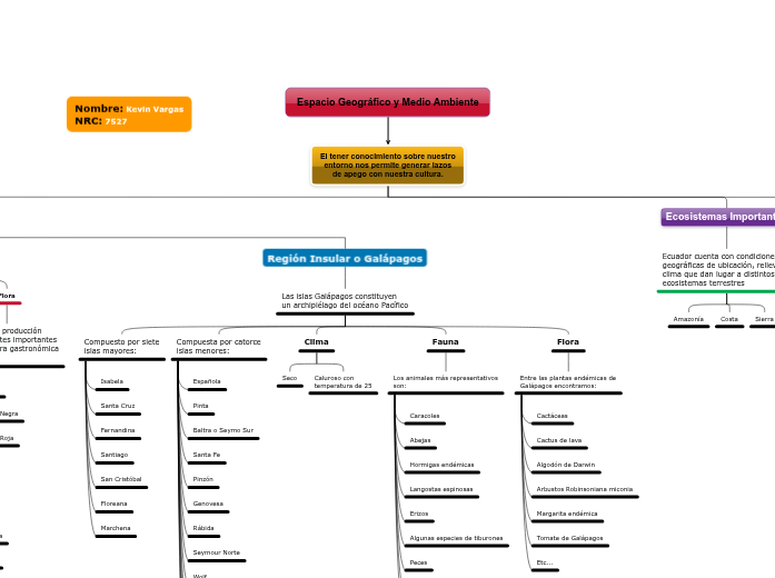 Espacio Geográfico y Medio Ambiente - Mind Map